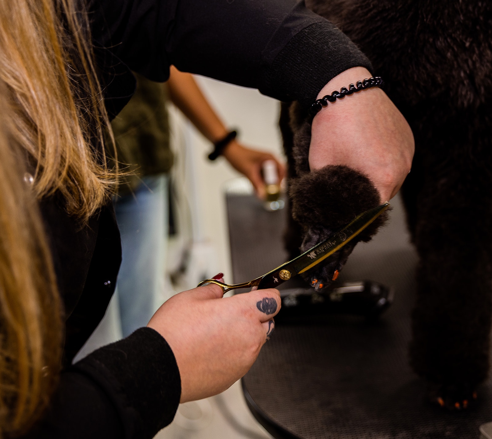 Our Services – Creative K-9 Designs